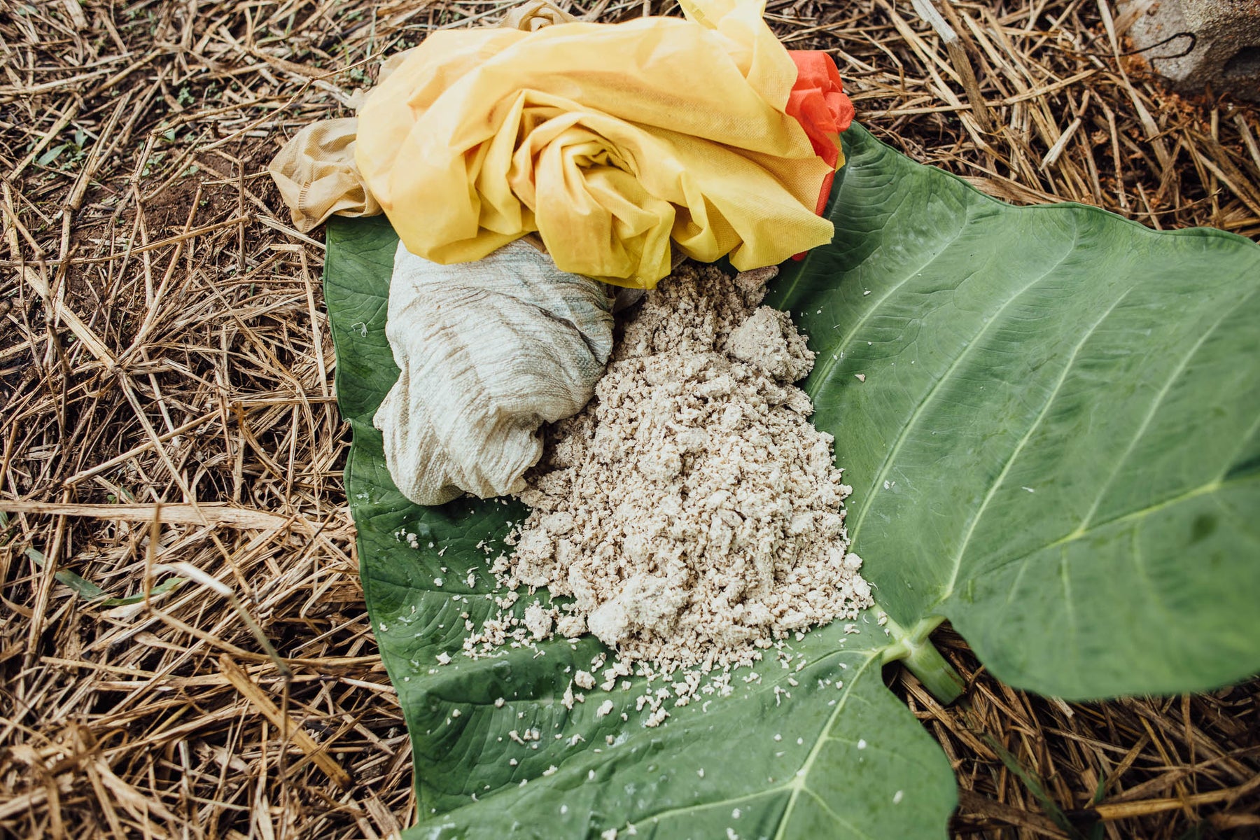 How to Prepare Kava | The Best Kava Preparation Methods